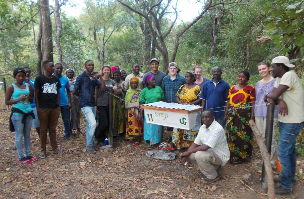 Beekeeping in southern Tanzania – The Ivory Foundation