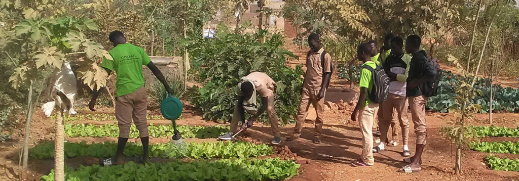 Jardins pédagogiques – The Ivory Foundation